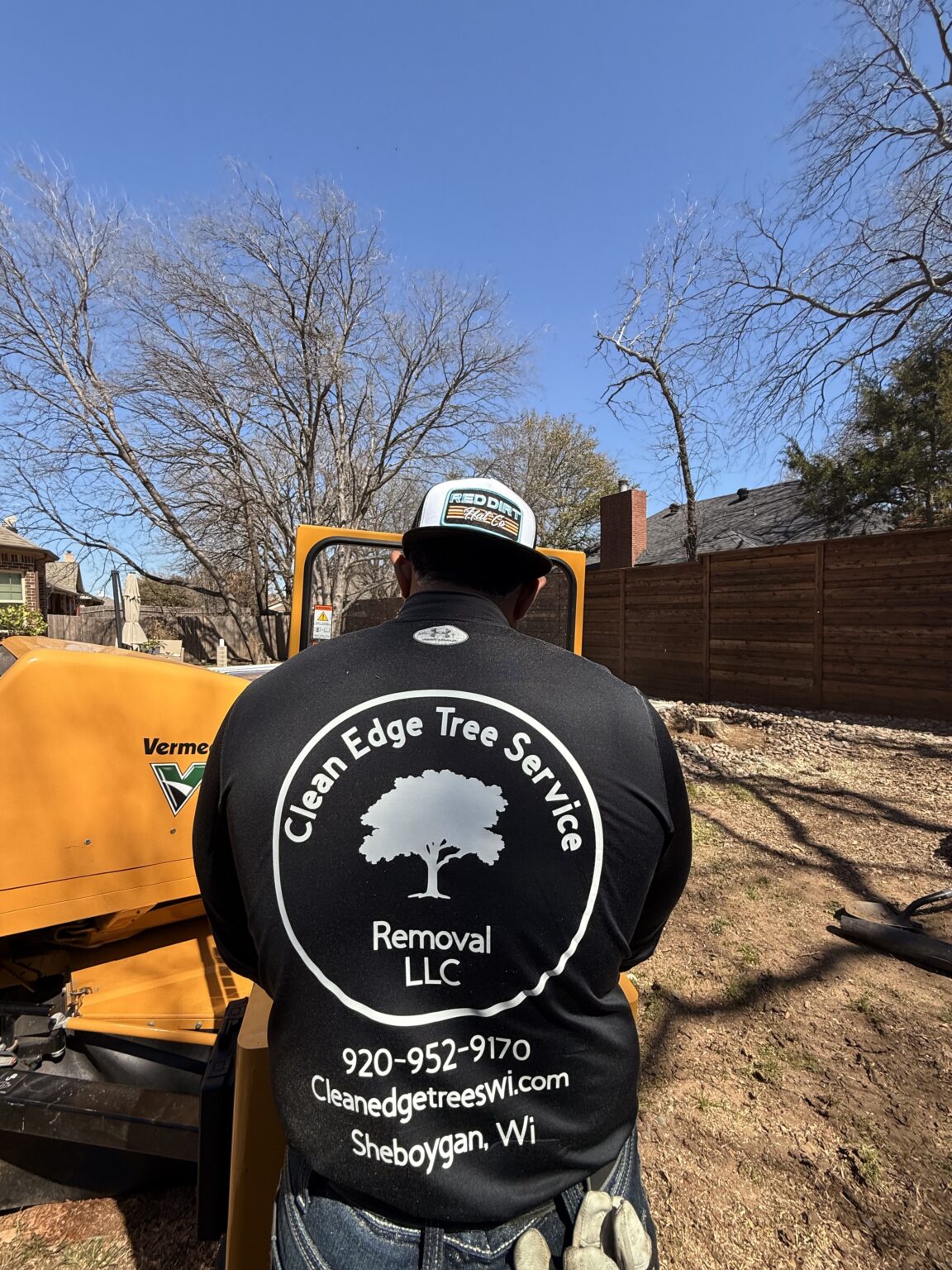 DIY Tree Removal: Can I Remove That Tree Myself?